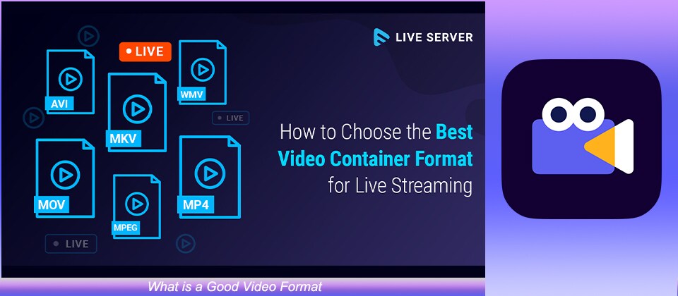7 Top Video Formats Explained For 2021