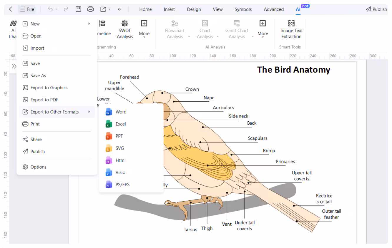 Free Biology Diagram Software with AI Assistance