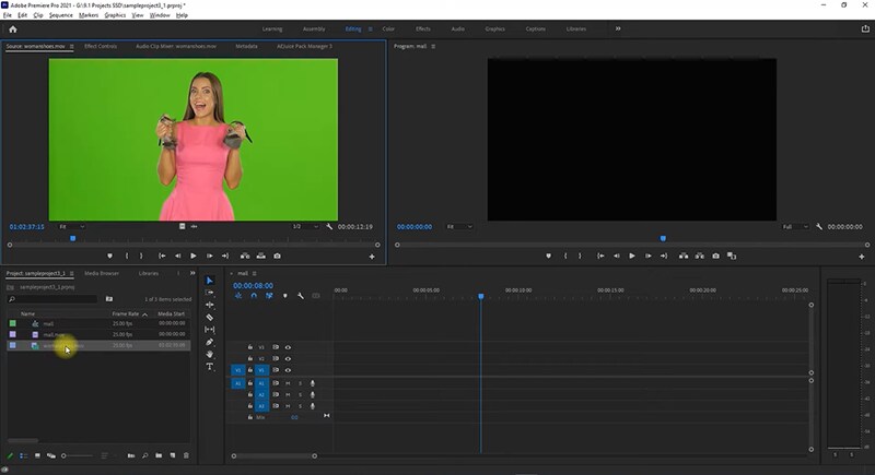 Add Green Screen Video In Premiere Pro 2022 
