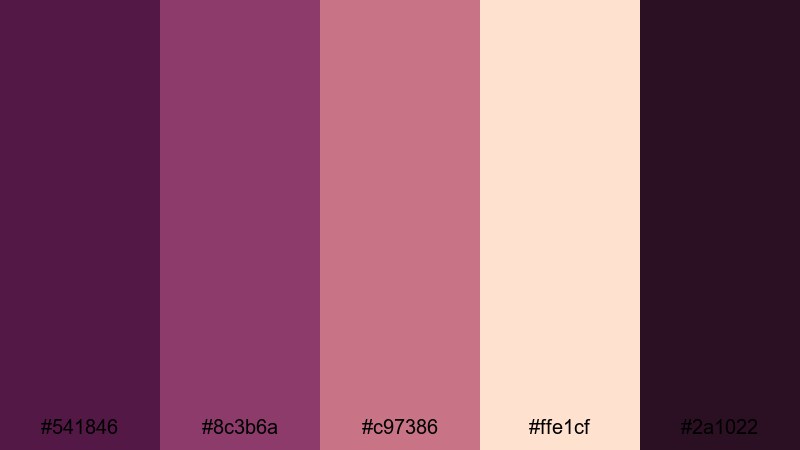 The Best 15 Vineyard Color Palette Ideas for Video & Design