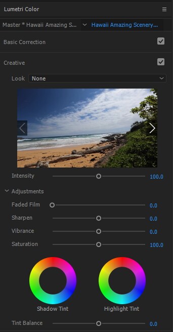 How To Easily Use Lumetri Color In FilmoraPro And Premiere Pro