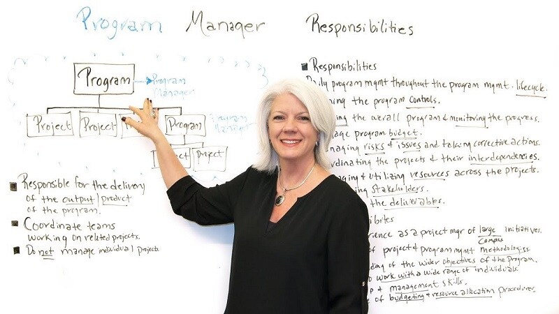 Beginner s Guide To The Career Of Program Manager