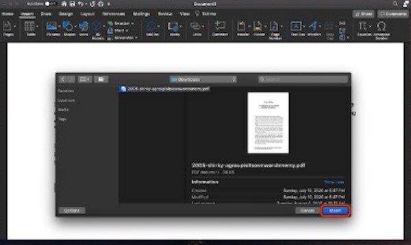 How To Embed PDF In Word With Two Methods
