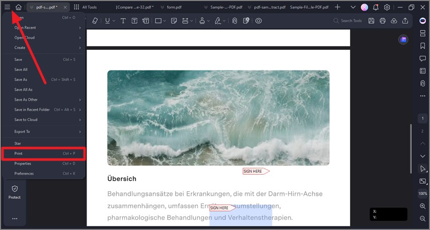 PDF Print Settings