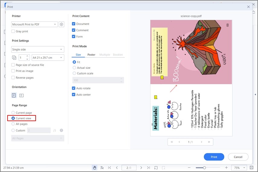 Print Current View In PDF