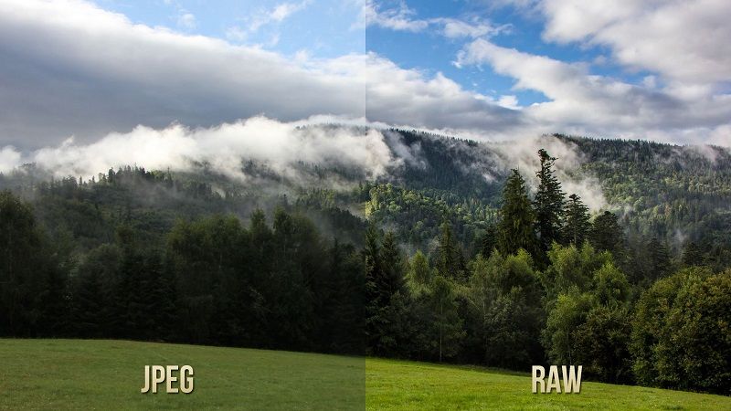 10 Common Image File Formats And Their Differences